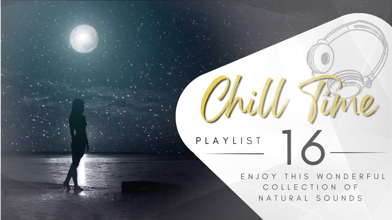 SOUND OF THE NIGHT FOREST - Session 16 - Background Chill Out Sounds ...