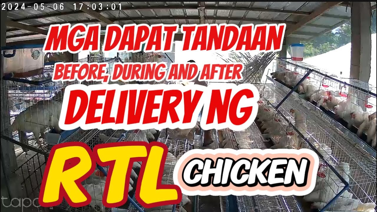 ANO MGA DAPAT TANDAAN BEFORE, DURING AND AFTER DELIVERY NG MGA RTL ...