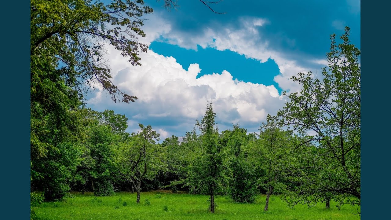 Deep Hope - YouTube Music