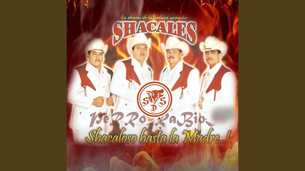 El Toro Bolas - YouTube