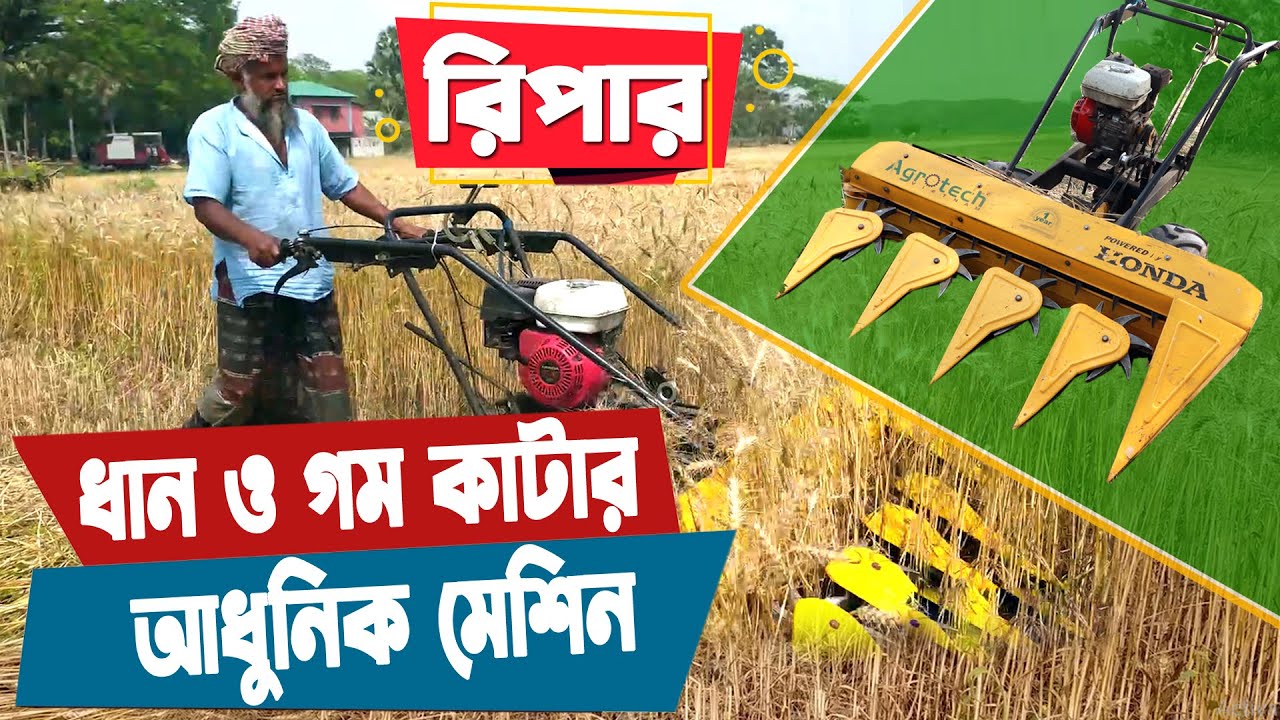 রিপার ধান ও গম কাটার সবচেয়ে সাশ্রয়ী ও কার্যকরি আধুনিক মেশিন | dhan ...