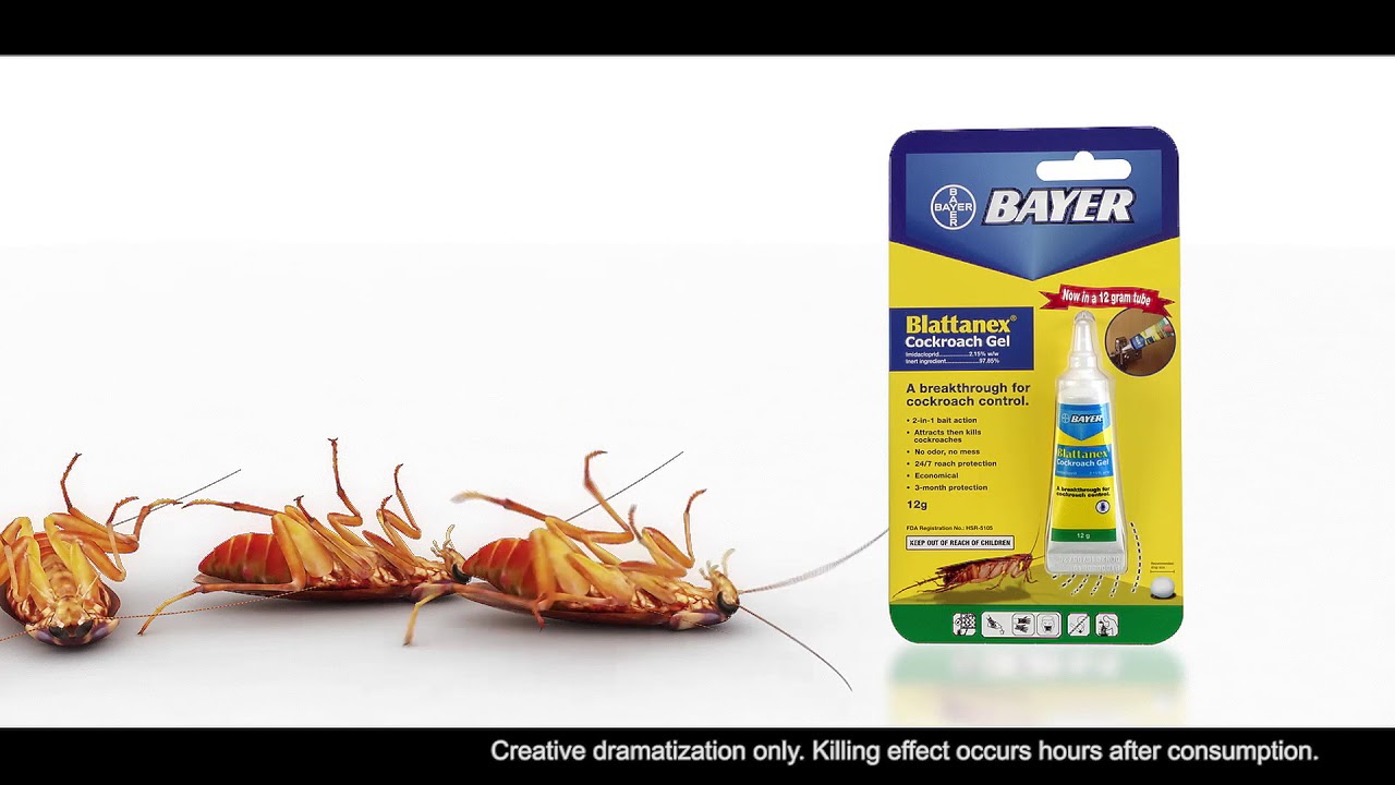 Bayer Blattanex Cockroach Gel Review Factory Buy | www.oceanproperty.co.th