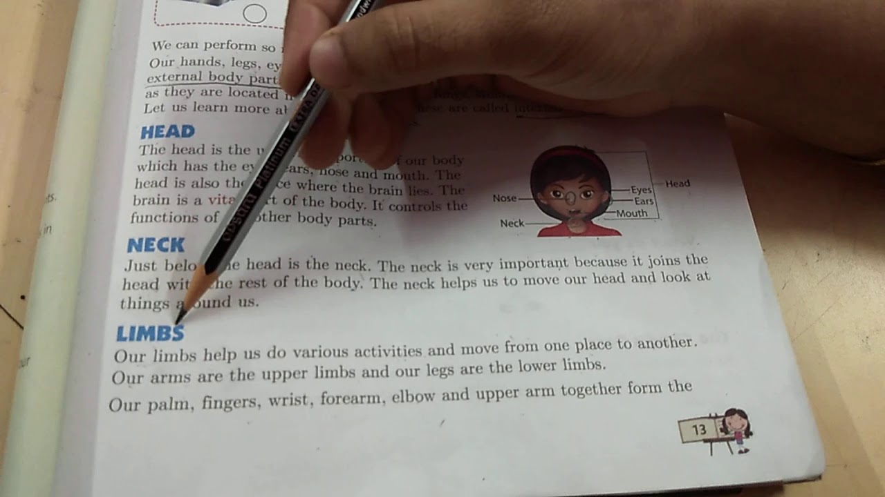 Class 3rd EVS Chapter 2 My Body YouTube class-3rd-evs-chapter-2-my-body-youtube