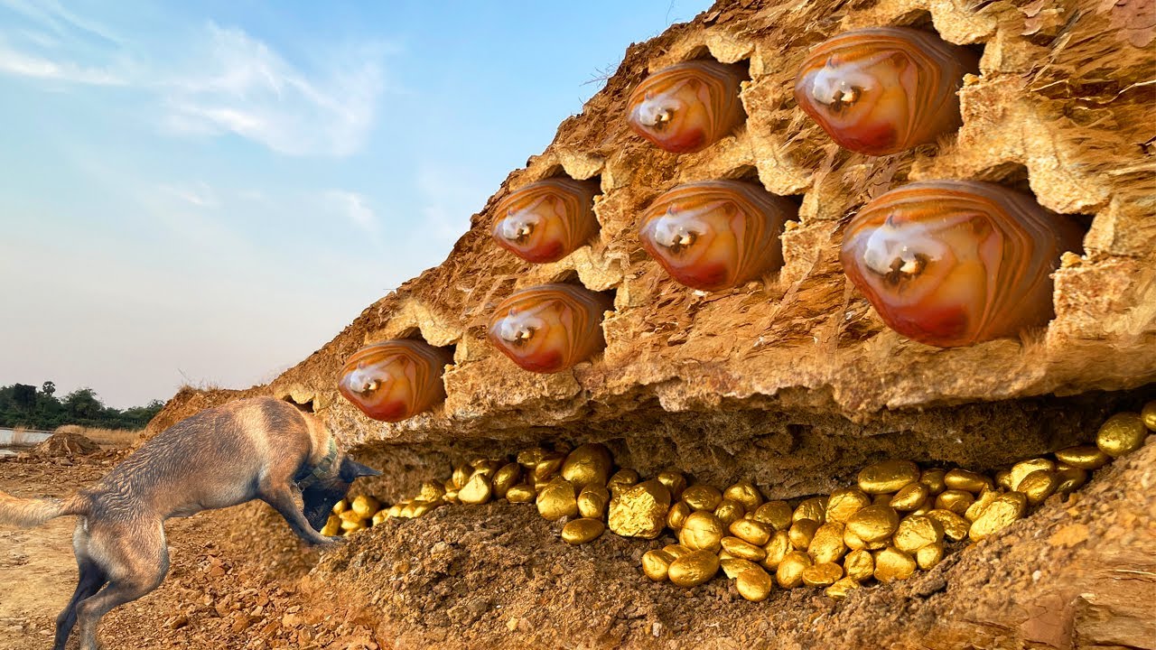 OMG! Unbelievable! Lucky Day Discovered Huge Treasure GOLDS Under Stone ...