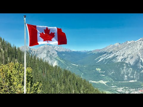 Neden bir RCIC aracısı kullanmalısınız?