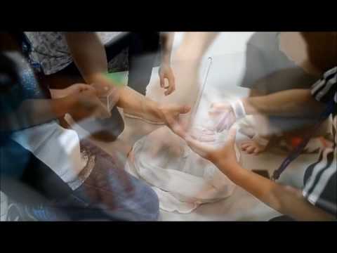 Hands-on Budding Entomologist Holiday Camp