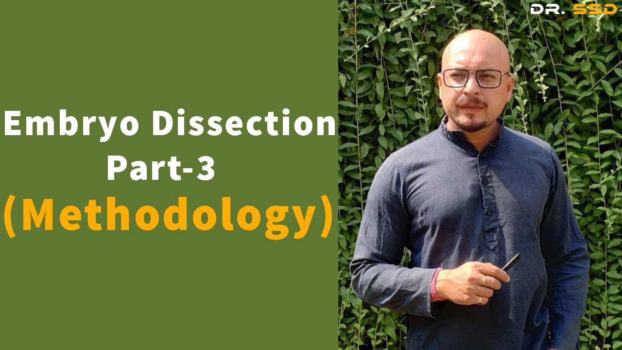 Embryo Dissection Part-3 (Methodology) | Dr. Sourav Singh Deo - YouTube
