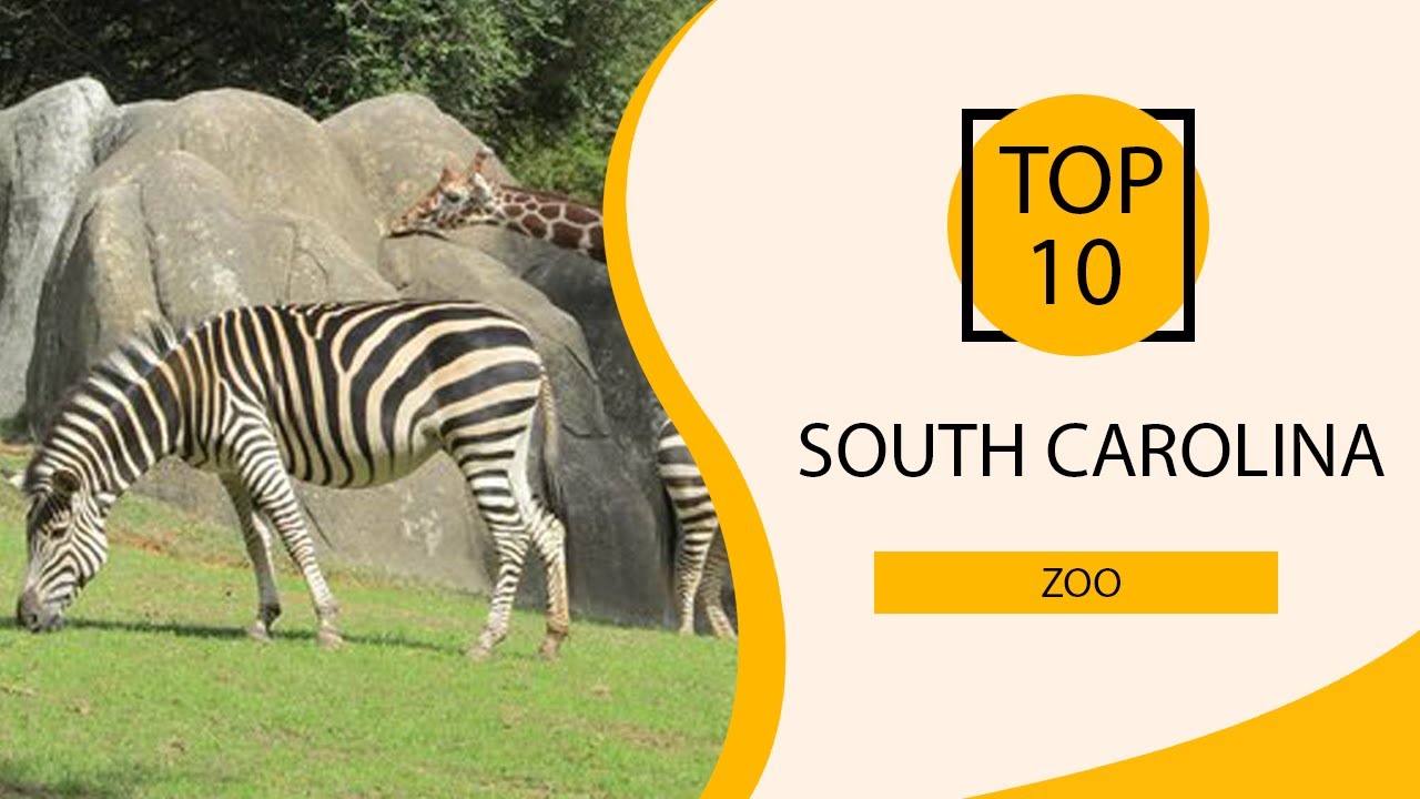 Top 10 Best Zoo to Visit in South Carolina | USA - English - YouTube