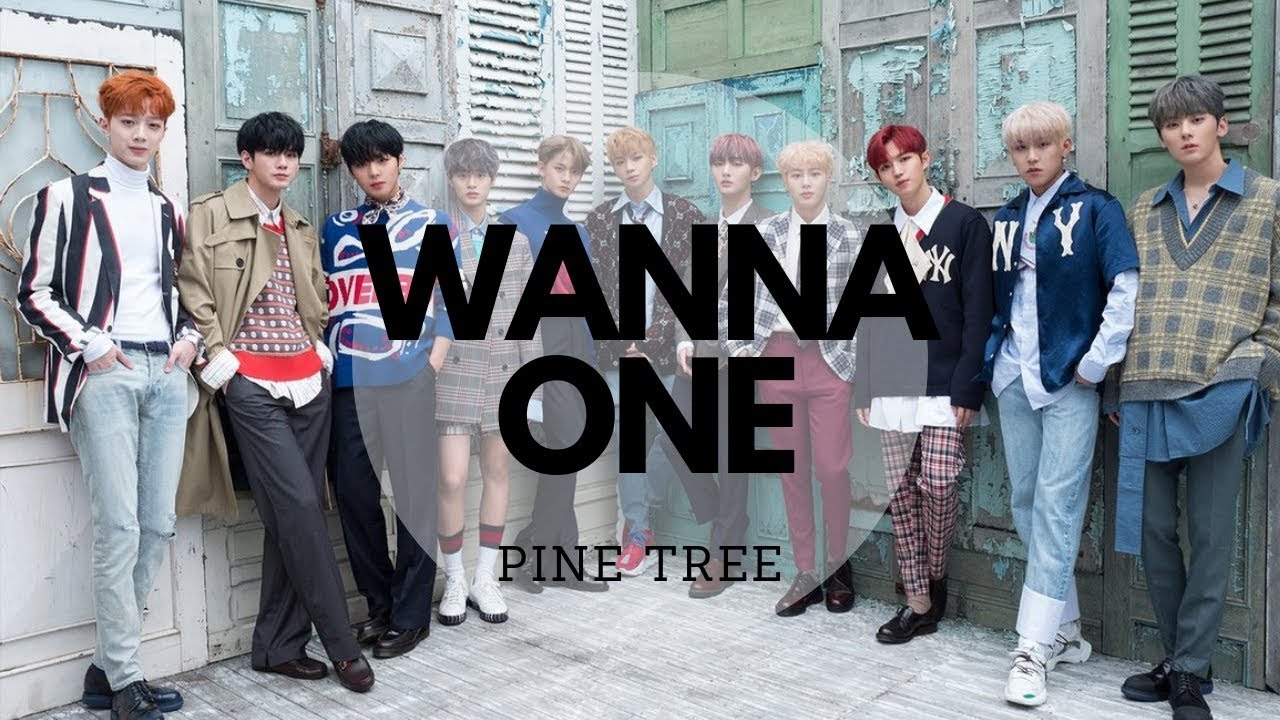 Wanna One - Pine Tree (3D / Concert / Echo sound + Bass boosted) 'POWER ...