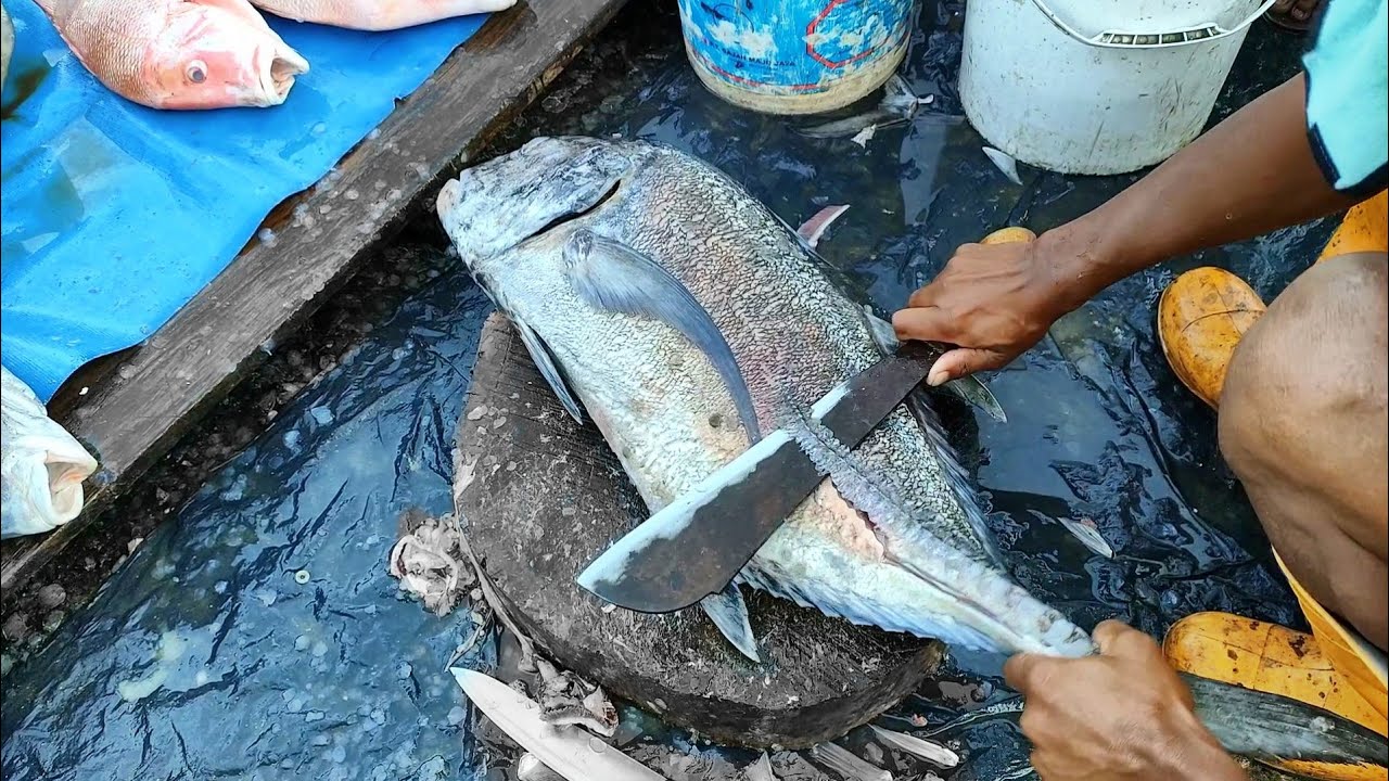 Amazing fish cutting skills! Cut the amazing giant trevally fish - YouTube