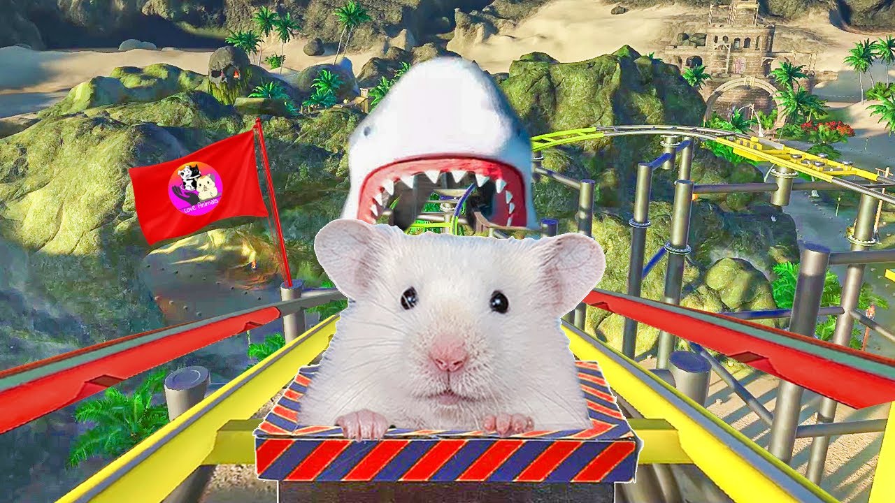 Hamster in Roller Coaster with Shark - YouTube