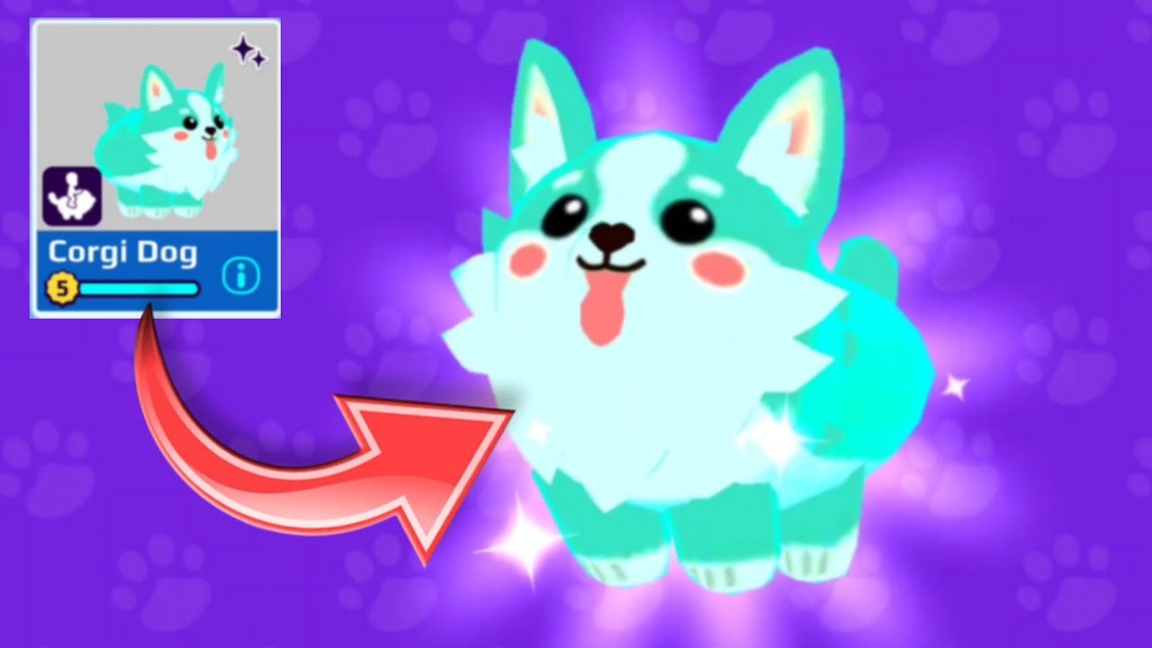 CORGI DOG NEW SHINY IN PKXD 😱😍#pkxd - YouTube