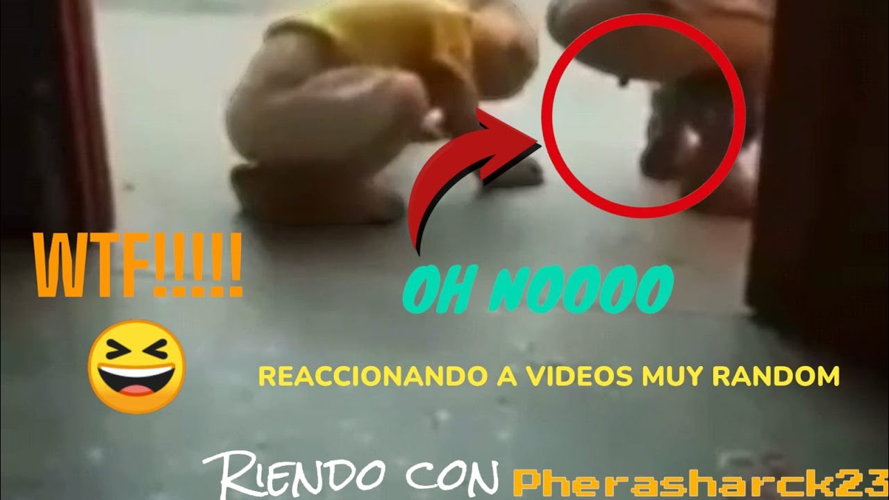 En el vídeo de hoy estaremos viendo vídeos de risa vale? - YouTube