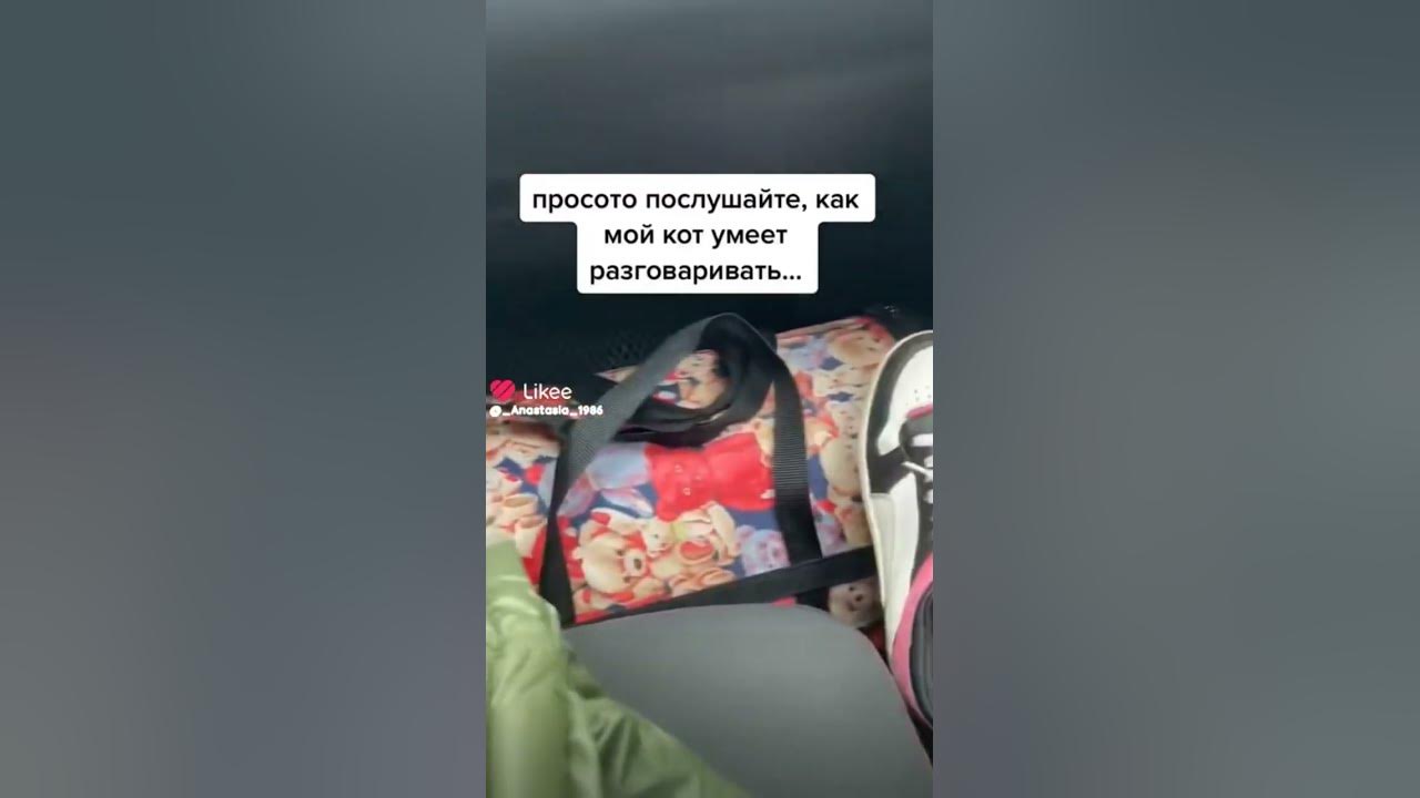 котик впервые разговоривает🤣😂 Youtube