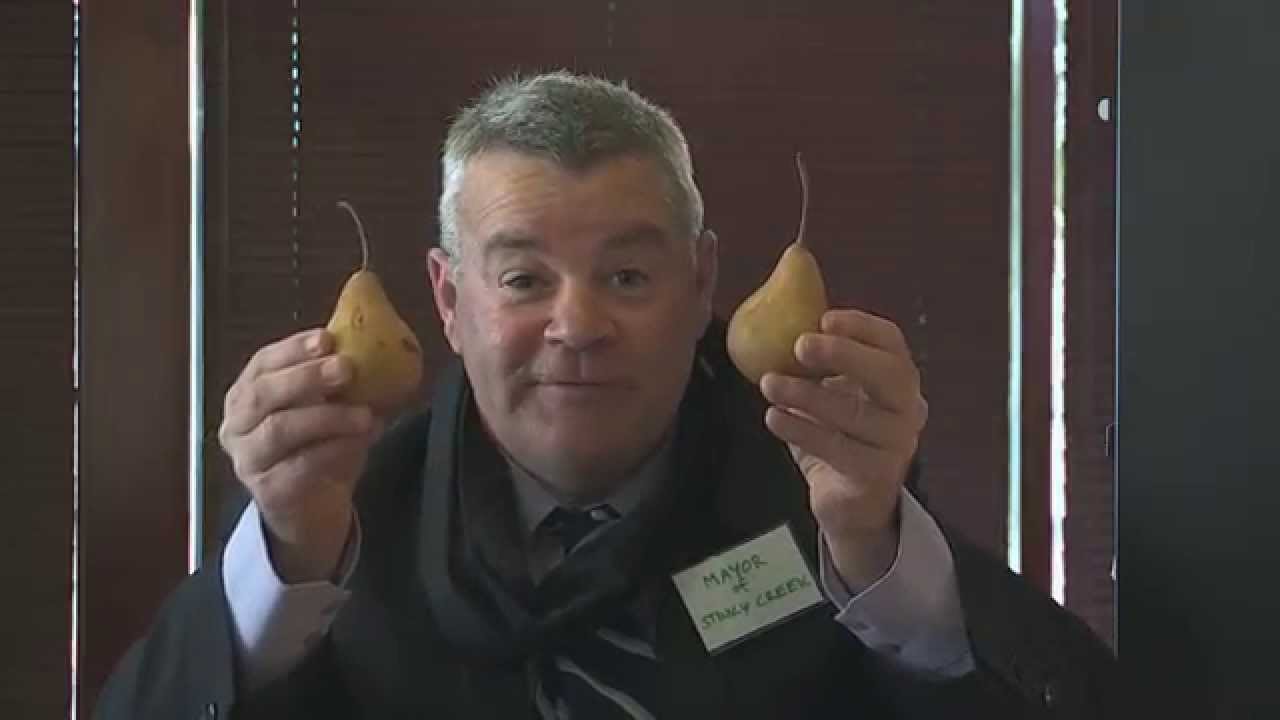 Poking Fun @ Small Business Cash Flow Problems - YouTube