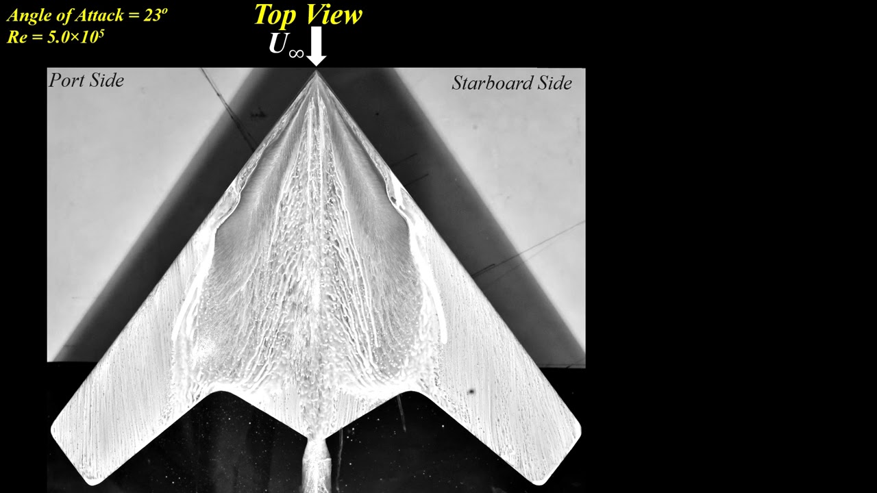 Effect of angle of attack on flow structures on the nonslender flying ...