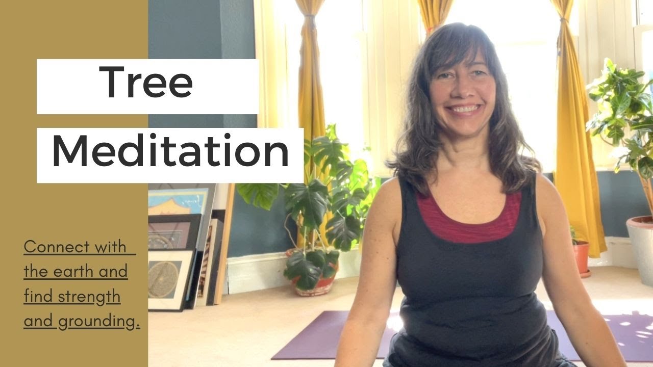 Guided Tree Meditation visualisation. - YouTube
