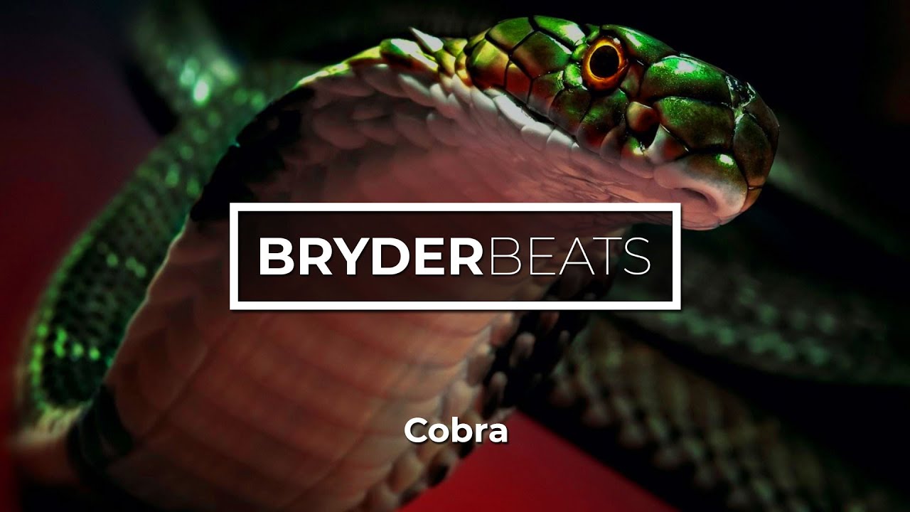 "Cobra" - Hard EDM Trap Beat | Fast Agressive Freestyle Rap ...