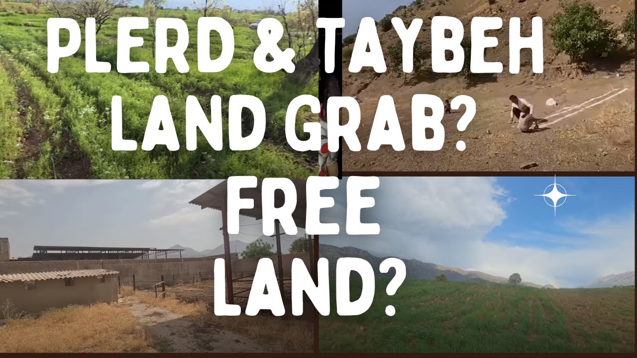 3. The nomads Plerd and Taybeh, Free land to build on? - YouTube