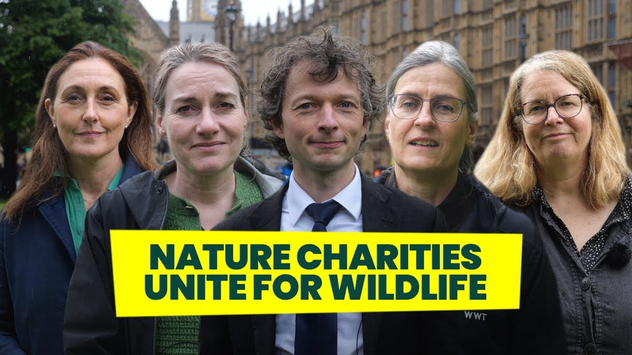 Nature Charities Unite For Wildlife | Restore Nature Now - YouTube