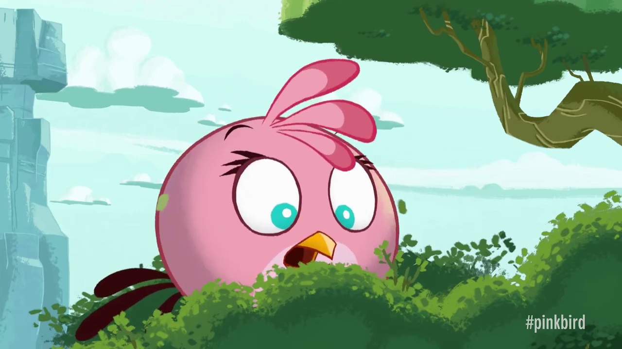 Angry Birds : Meet the Pink Bird - YouTube