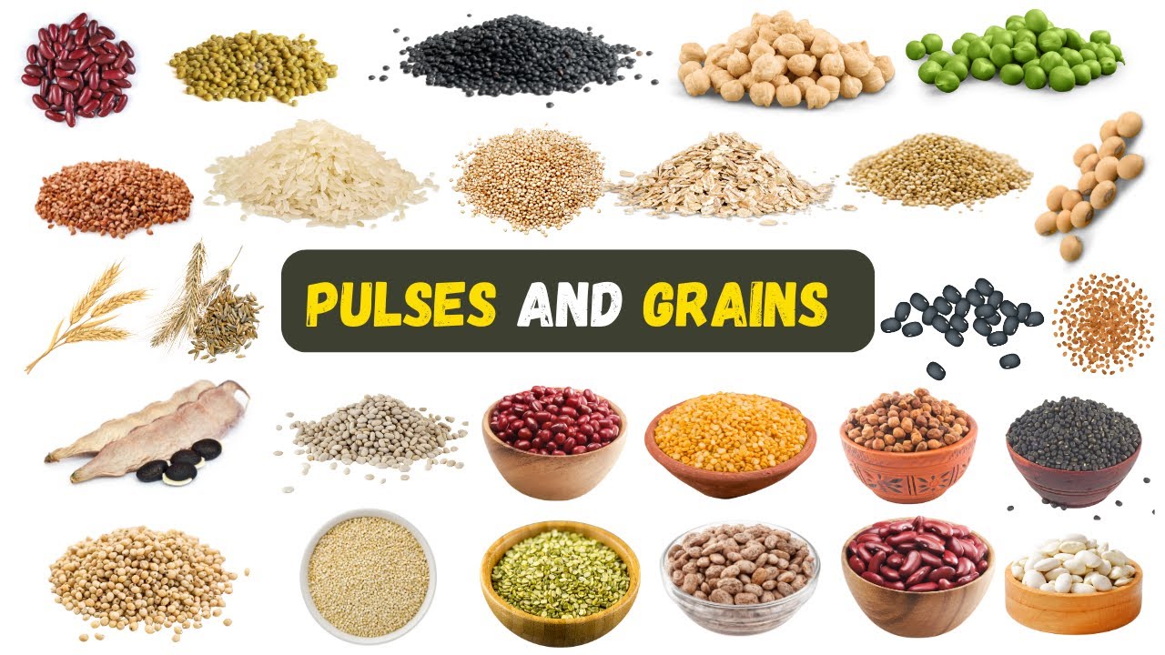 Pulses and Grains Names with Pictures | Food Vocabulary - YouTube