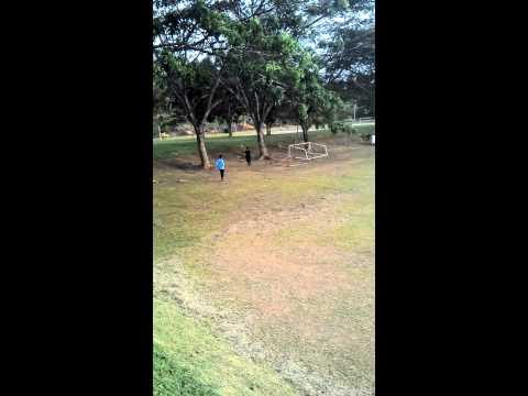 Padang goal selancar