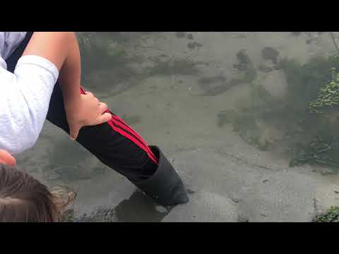 Kid stuck in quicksand pt.10 #quicksand