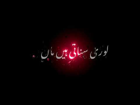 Kyo chod jati hai maa status | syed raza abass zaidi | ayam e fatima status