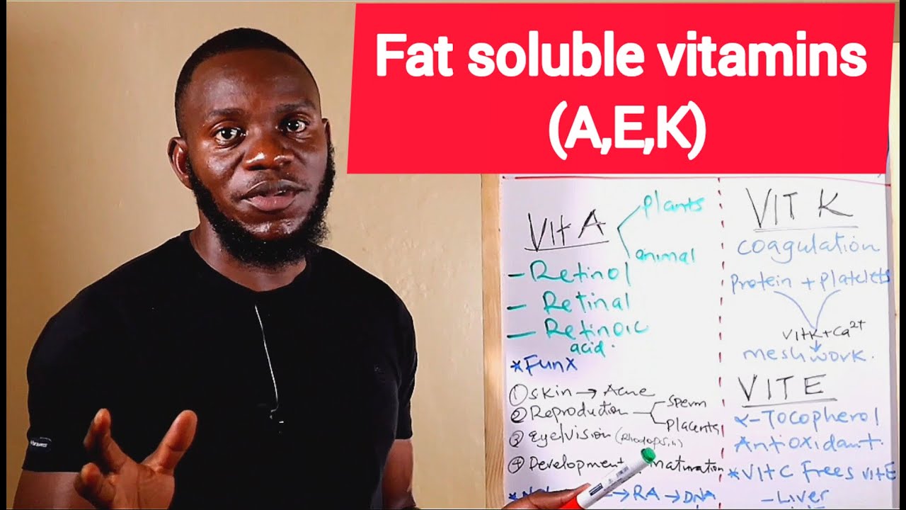 FAT SOLUBLE VITAMINS (A,E,K): SYNTHESIS, SOURCES AND FUNCTIONS. - YouTube
