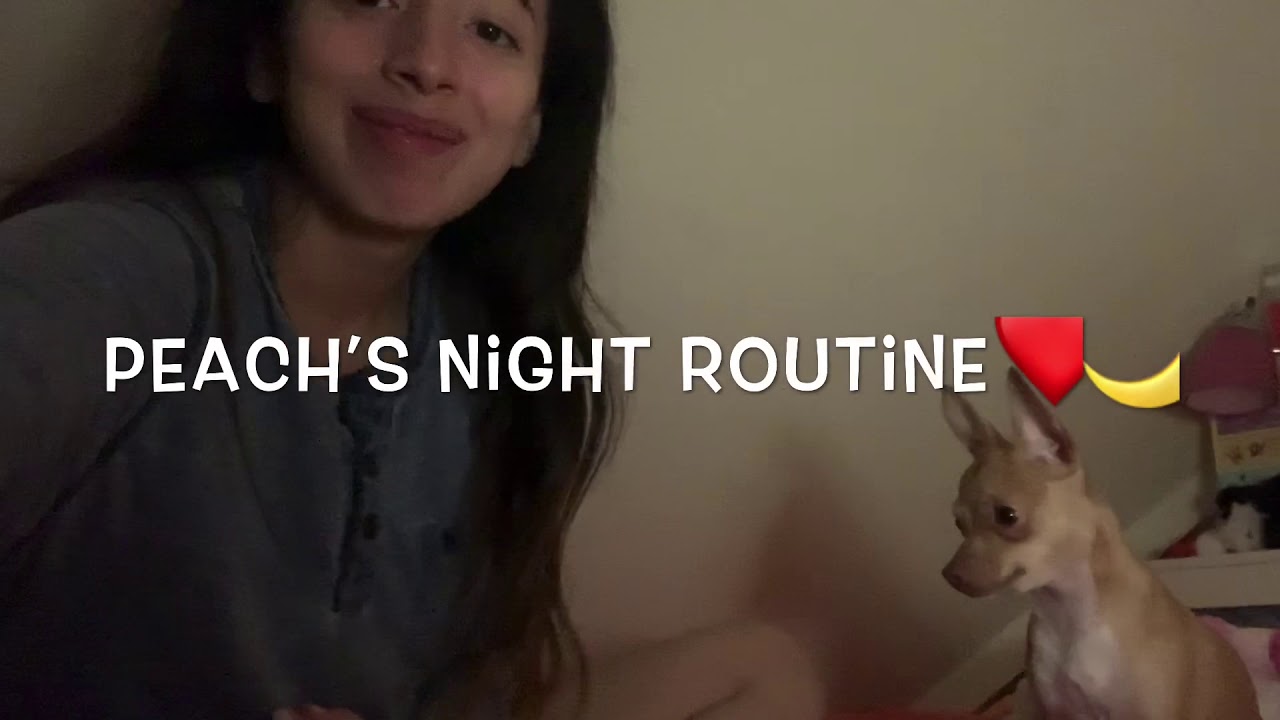 MY DOG’S NIGHT ROUTINE BEFORE BED!! - YouTube