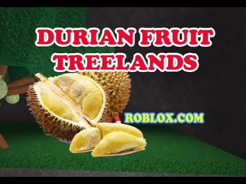 TreeLands Pick Durian Roblox - YouTube