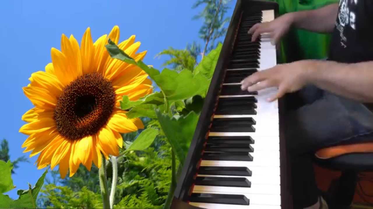 SUNFLOWER SLOW DRAG S.Joplin & S.Hayden - YouTube