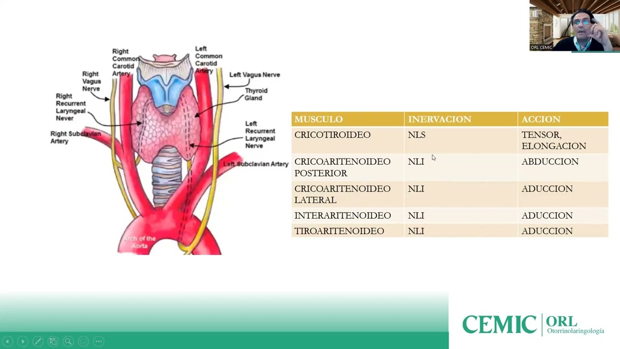 PARALISIS LARINGEAS - YouTube