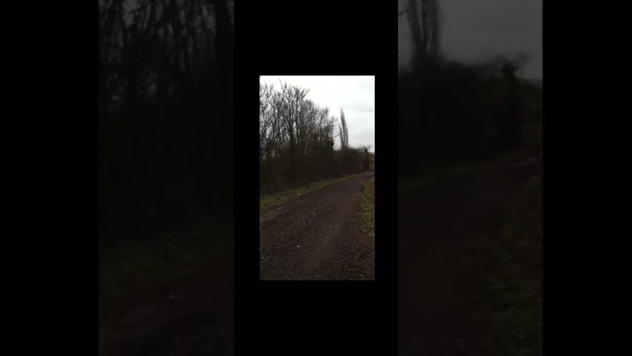 Workhouse Lane,Rettendon Essex - YouTube