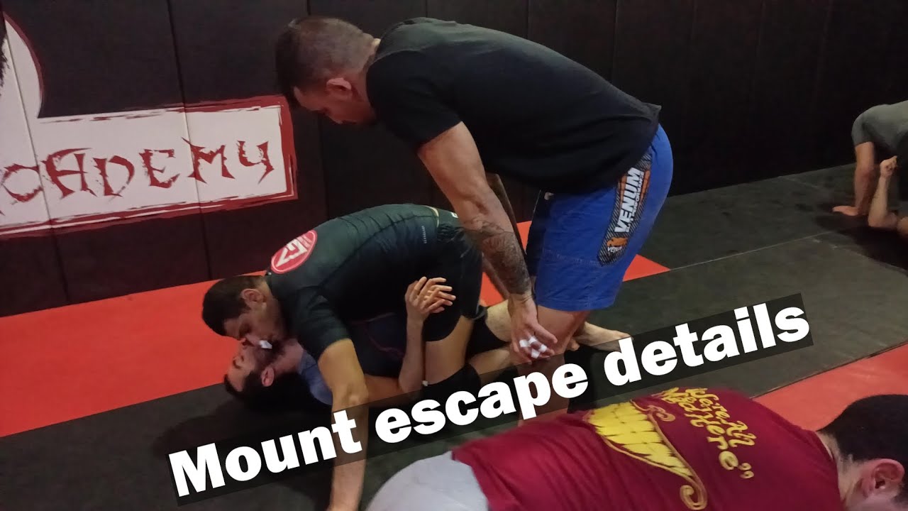 Technique #4 : Mount escape at Power Academy Tunisia (NoGi Class) - YouTube