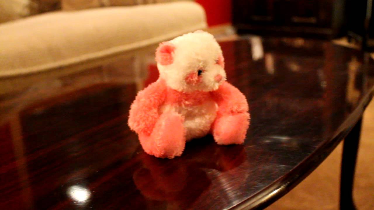 Homino figaro - YouTube