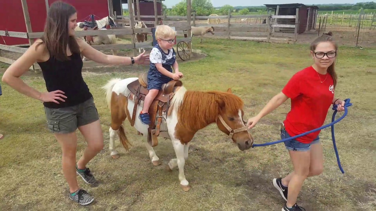 horsey ride - YouTube