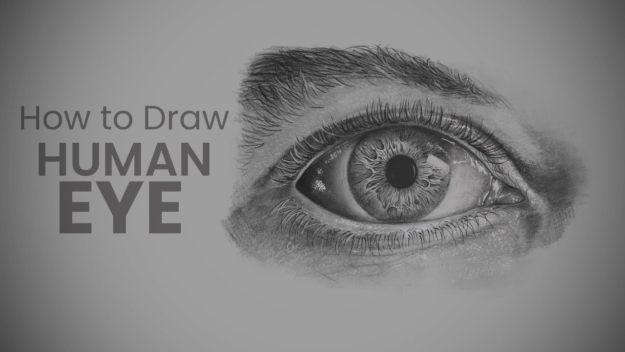 How to draw Human Eye || Timelapse || The Art Films Naman || - YouTube