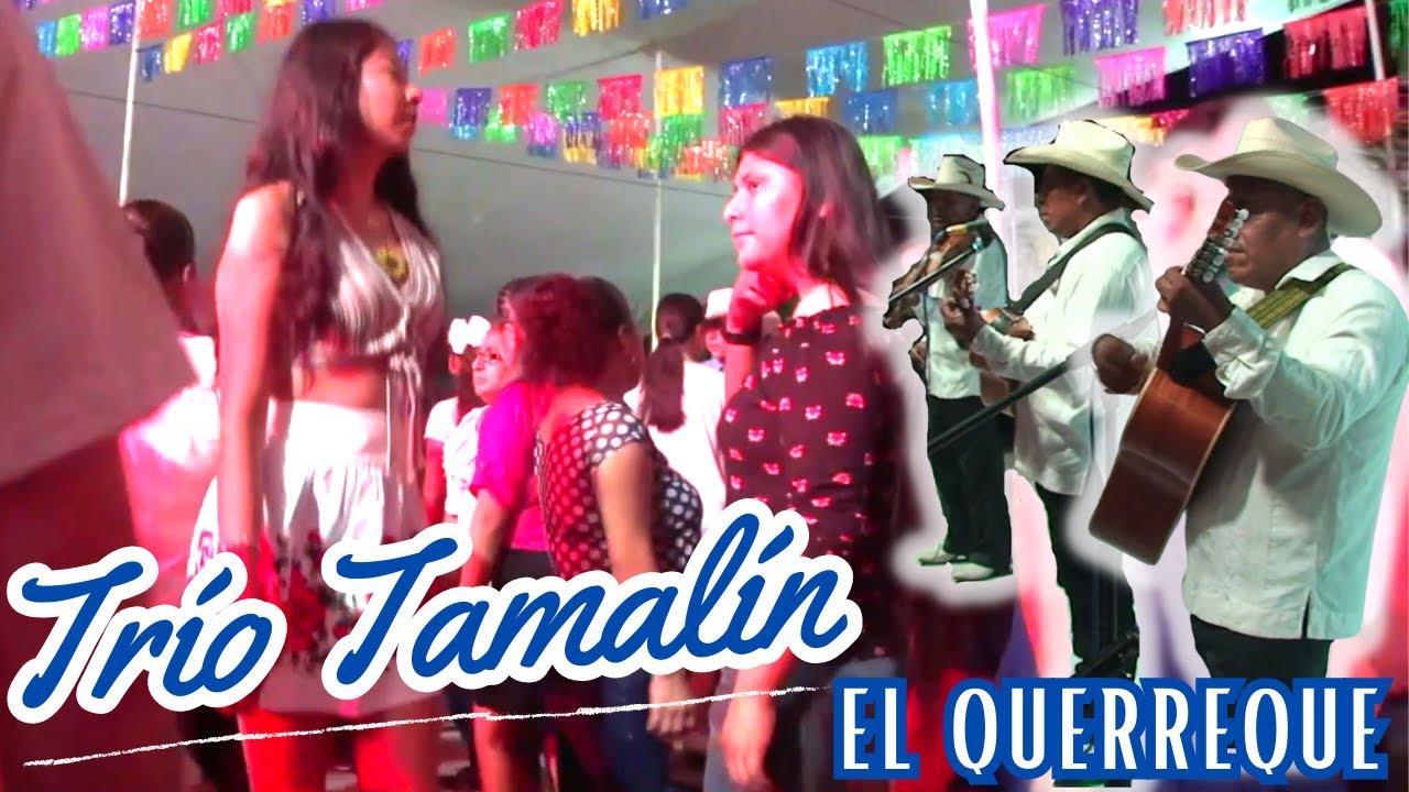 🐦 GRAN QUERREQUE en Tamalín "Trío Tamalín! - YouTube