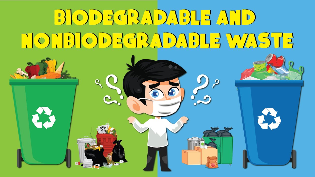 Waste management | types Of Dustbin | How to Recycle Waste #animation # ...