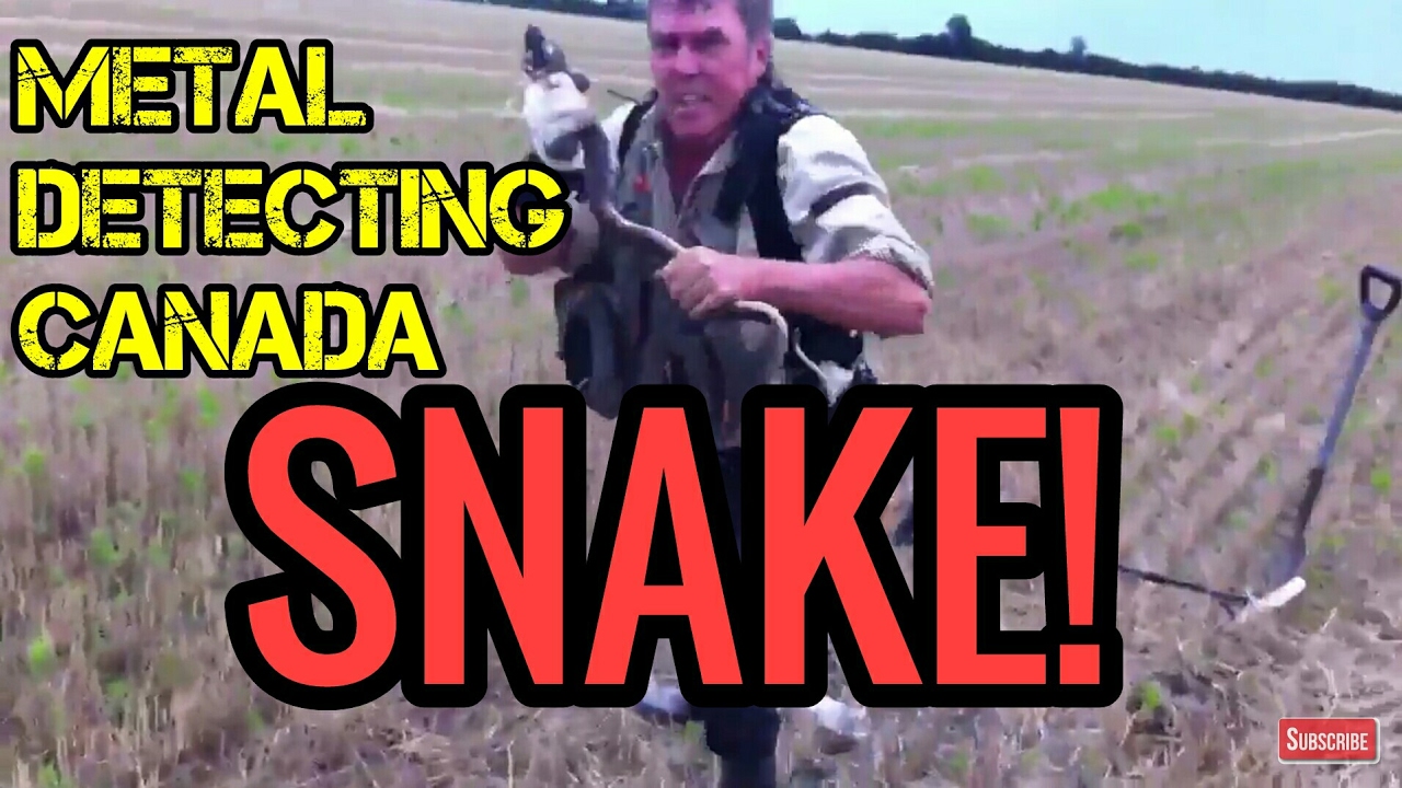 Metal Detecting Hunt, Jimbo Finds A SNAKE!!! #14 - YouTube
