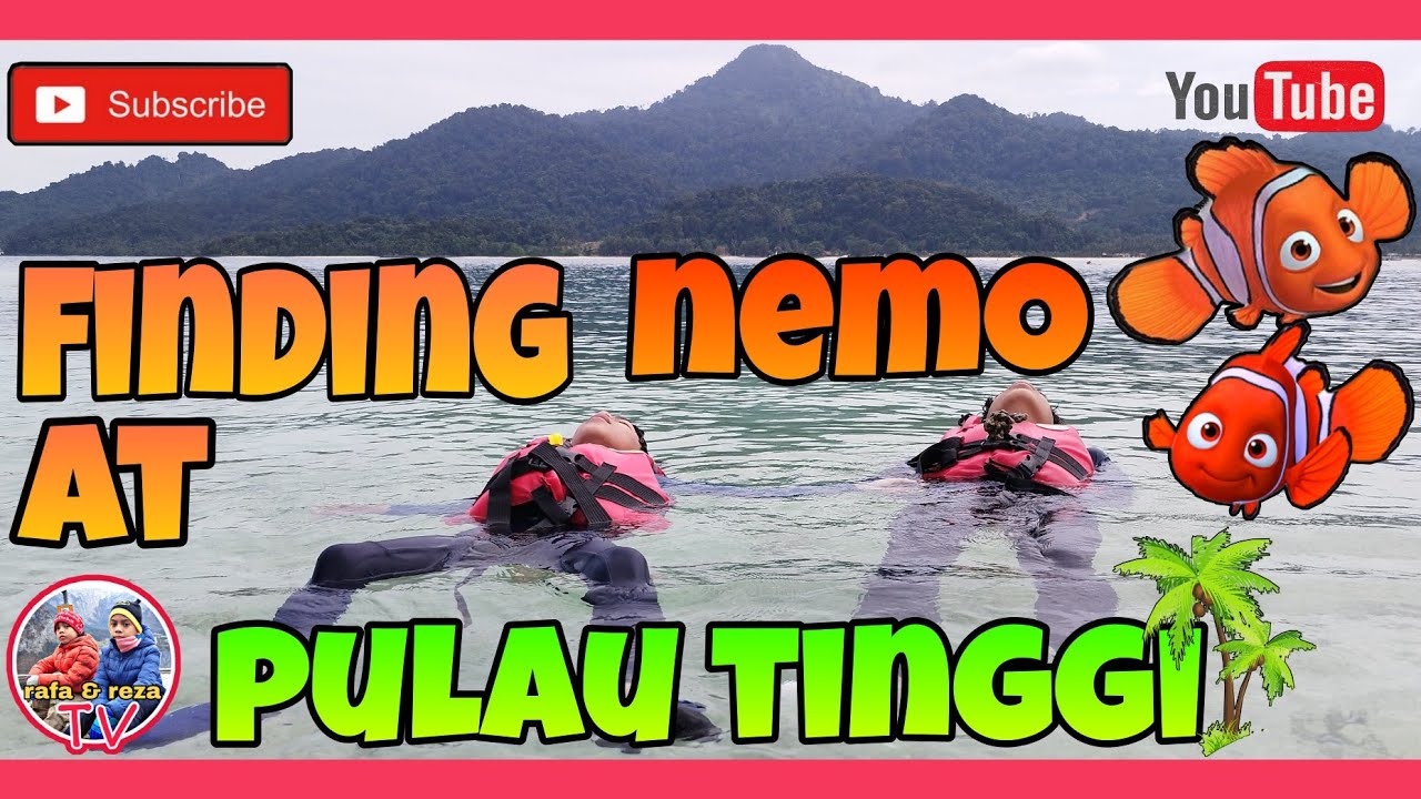 Boleh ke tangkap NEMO kat sini ?? - FINDING NEMO at PULAU TINGGI, Johor ...