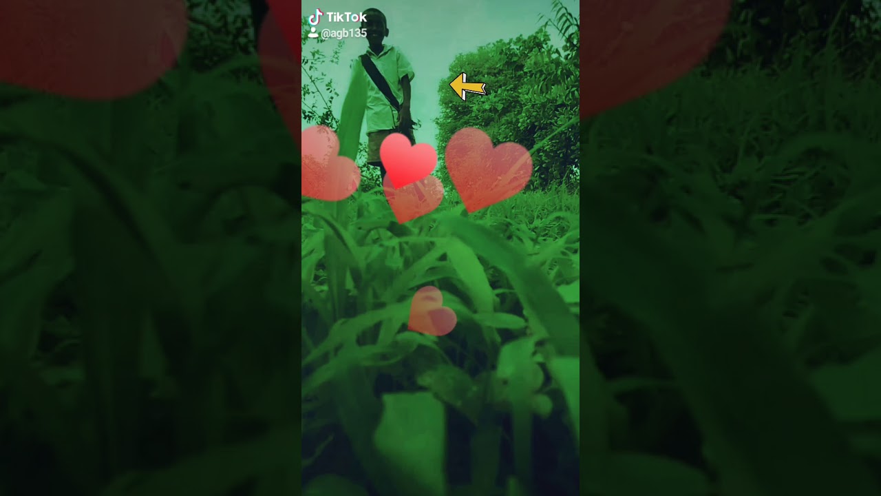 Love romantic ♥️ tik tok video(25) - YouTube