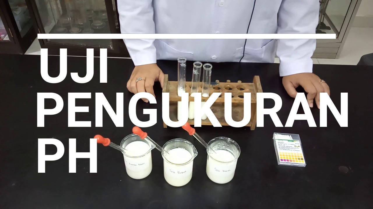 PRAKTIKUM BIOKIMIA - UJI SUSU - YouTube