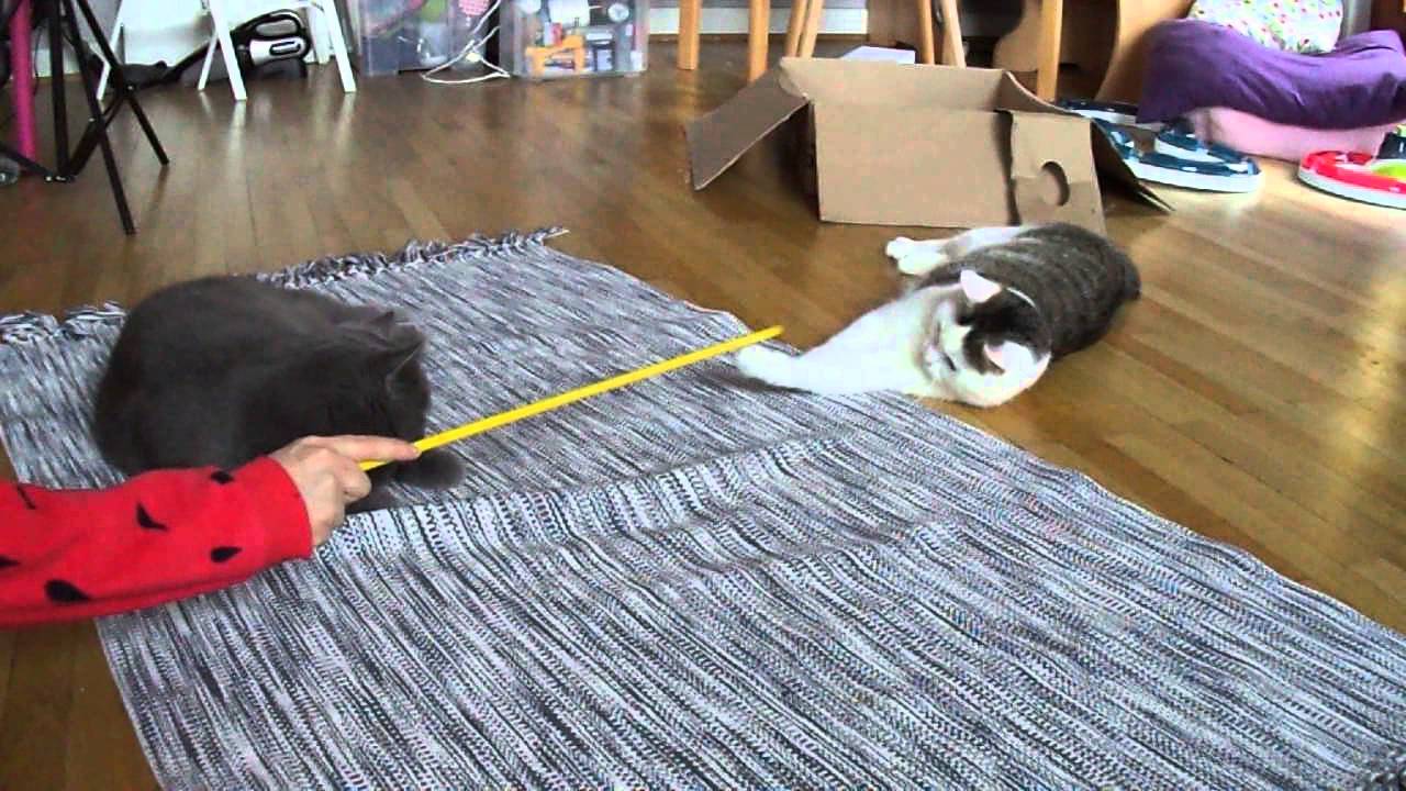 Playtime, Carpet Time part 3 - YouTube