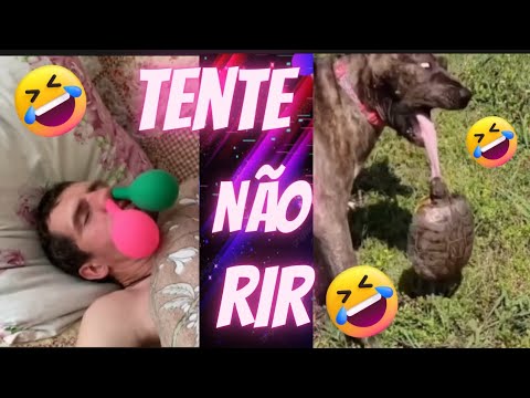 #Tentando não chorar de tanto rir 😂 - YouTube