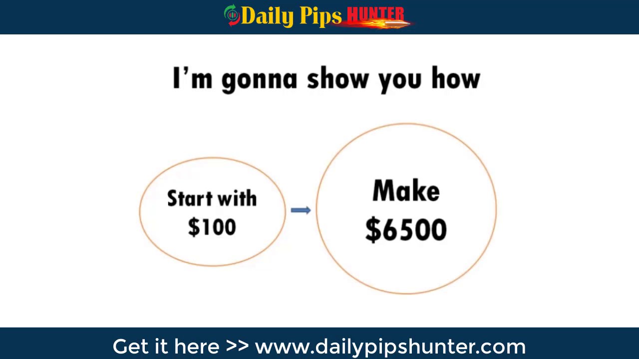 Daily Pips Hunter - Forex Trading System for Beginners - YouTube