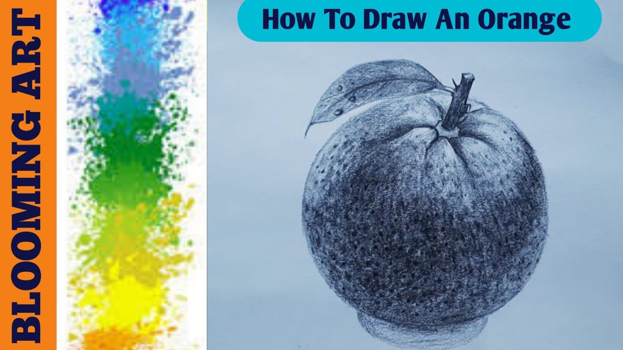 How To Draw An Orange || Orange Drawing ||Orange Drawing Easy Step By ...