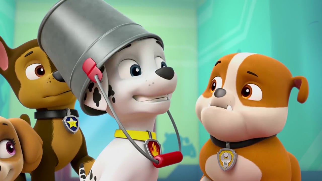 Paw Patrol Funny Moments - Best Animation Moments For Kids #6 - YouTube